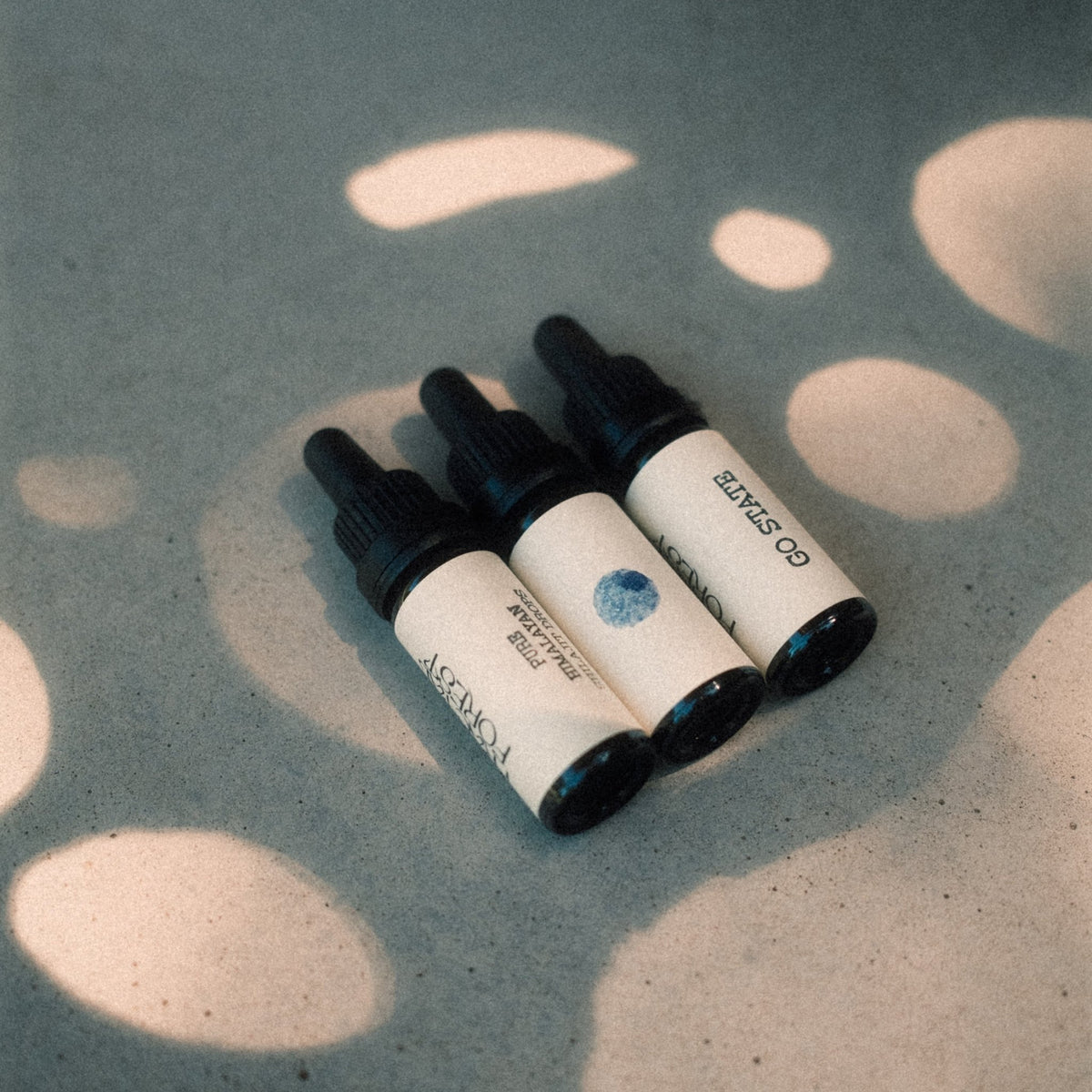 Starter Kit | Fractal Forest